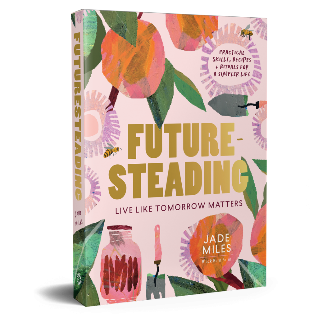 Futuresteading | Book